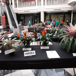 Home | Orlando Fashion Square