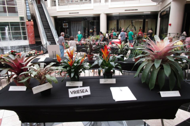 Home | Orlando Fashion Square