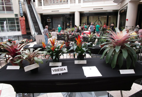 Home | Orlando Fashion Square