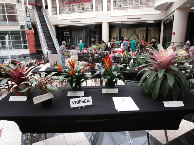 Home | Orlando Fashion Square