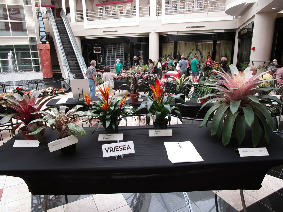 Home | Orlando Fashion Square